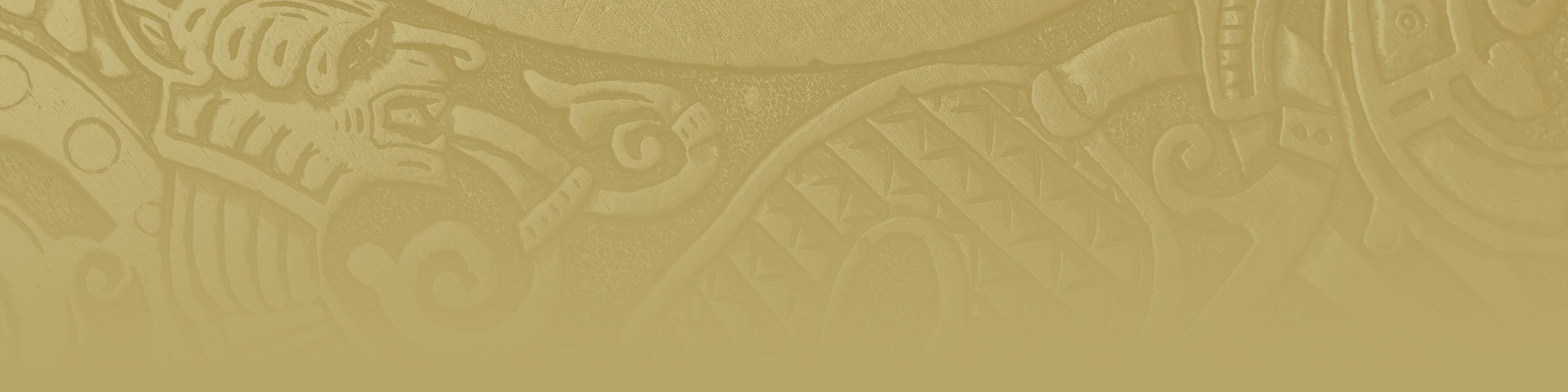 SKJOLD™ Body Armor | NFM Group